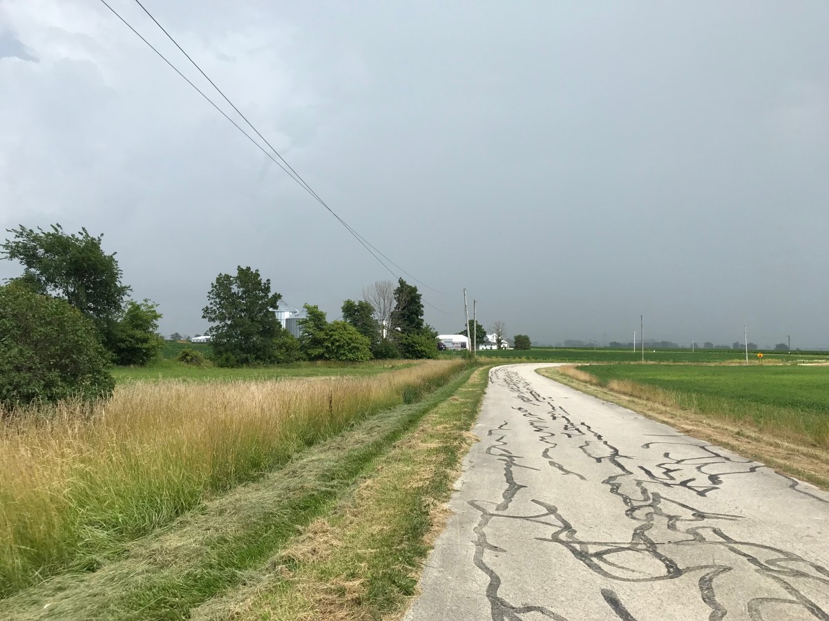 Storm Walk | elizabeth on mission